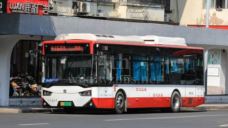 温州公交116路 - 瓯越交通百科